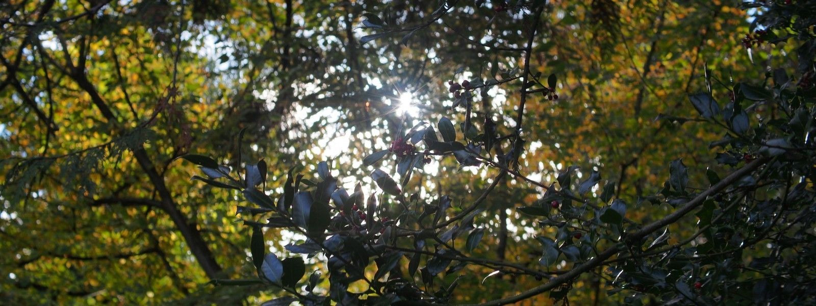 Iscomorphot 16 2x inflight – scope4rental